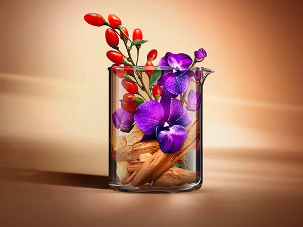 Garnier Good: Tinte per Capelli senza Ammoniaca | Garnier