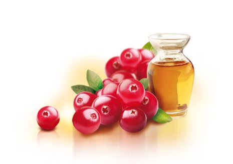 Mirtillo Rosso - Scopri Tutti gli Ingredienti di Garnier | Garnier